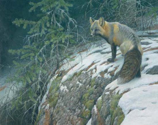 Wildlife art prints plus original paintings with a wide selection from ...