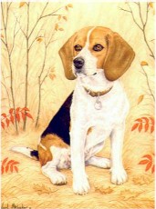 Wildlife art prints plus original paintings with a wide selection from ...