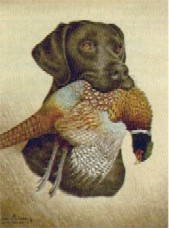 Wildlife art prints plus original paintings with a wide selection from ...