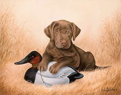 Wildlife art prints plus original paintings with a wide selection from ...