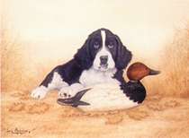 Wildlife art prints plus original paintings with a wide selection from ...