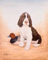 Wildlife art prints plus original paintings with a wide selection from ...