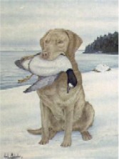 Wildlife art prints plus original paintings with a wide selection from ...