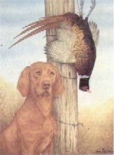 Wildlife art prints plus original paintings with a wide selection from ...