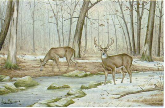 Wildlife art prints plus original paintings with a wide selection from ...
