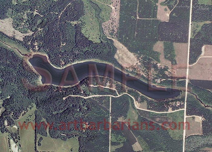 Wildlife art prints plus satellite lake photos from ArtBarbarians.com ...
