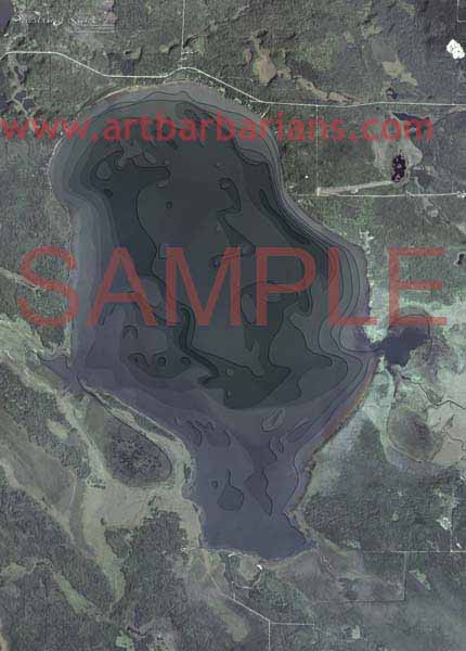 Wildlife art prints plus satellite lake photos from ArtBarbarians.com ...