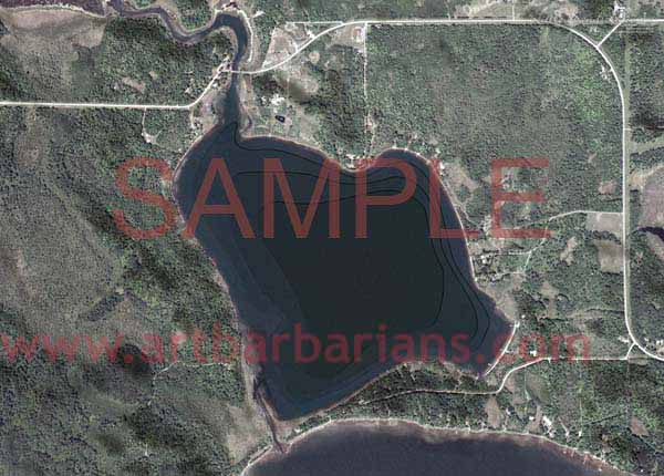 Wildlife art prints plus satellite lake photos from ArtBarbarians.com ...